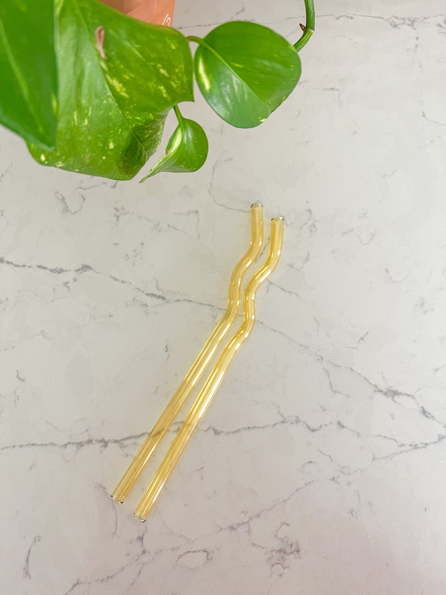 Colored Squiggly Straw – Hart + Flora Shop