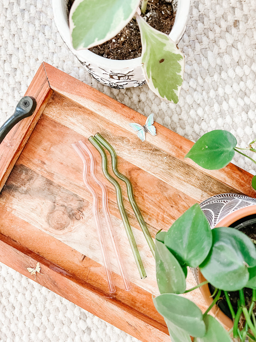 Colored Squiggly Straw – Hart + Flora Shop